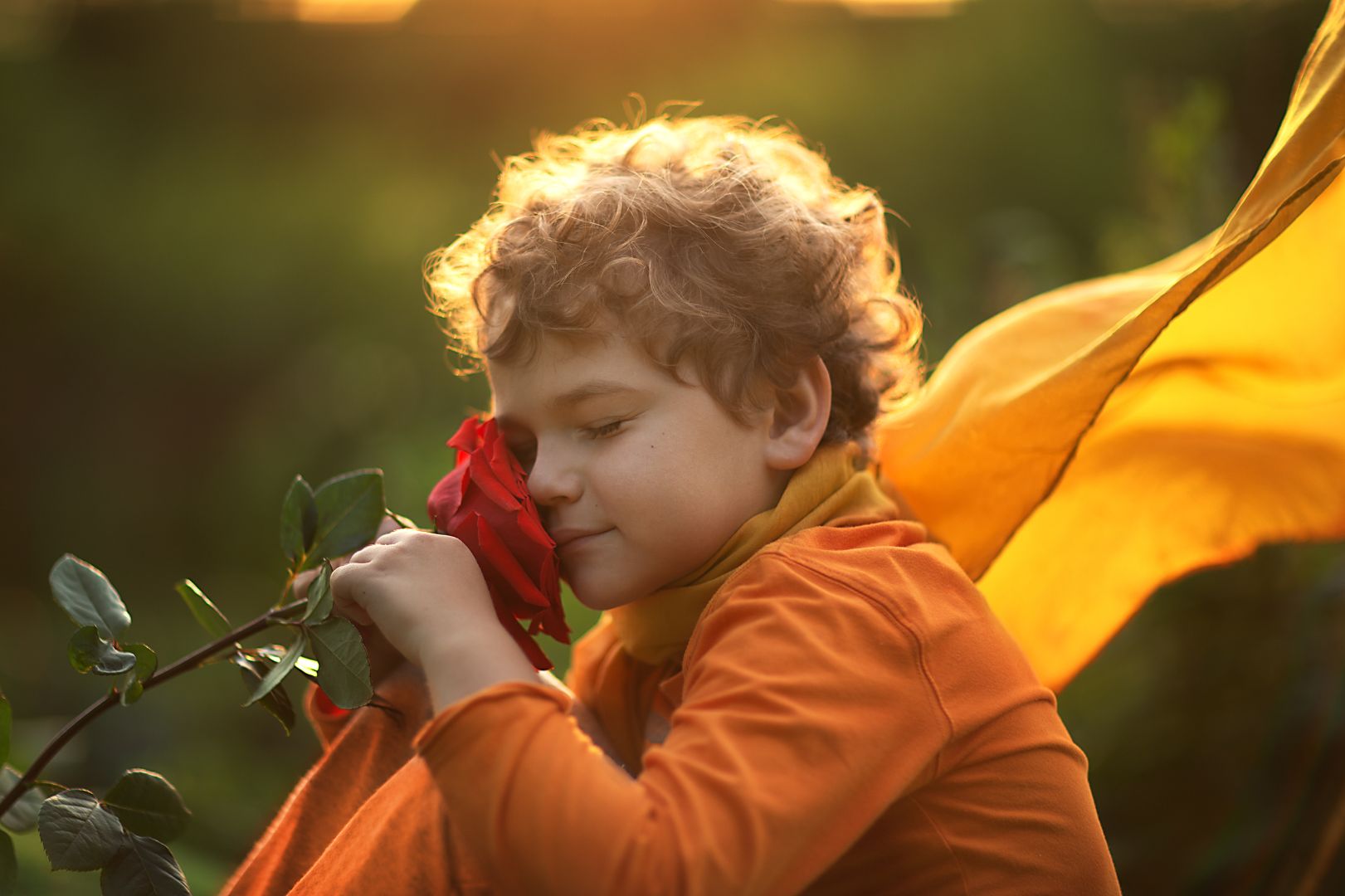 Il simbolo della rosa nel Piccolo Principe - Una storia d'amore ...